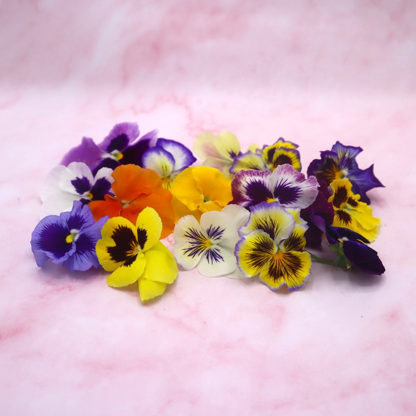 Viva Viola Mix, Eetbare viooltjes | Floral Delight