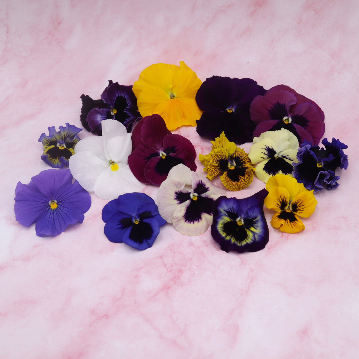 Viva Viola Mix, Eetbare viooltjes | Floral Delight