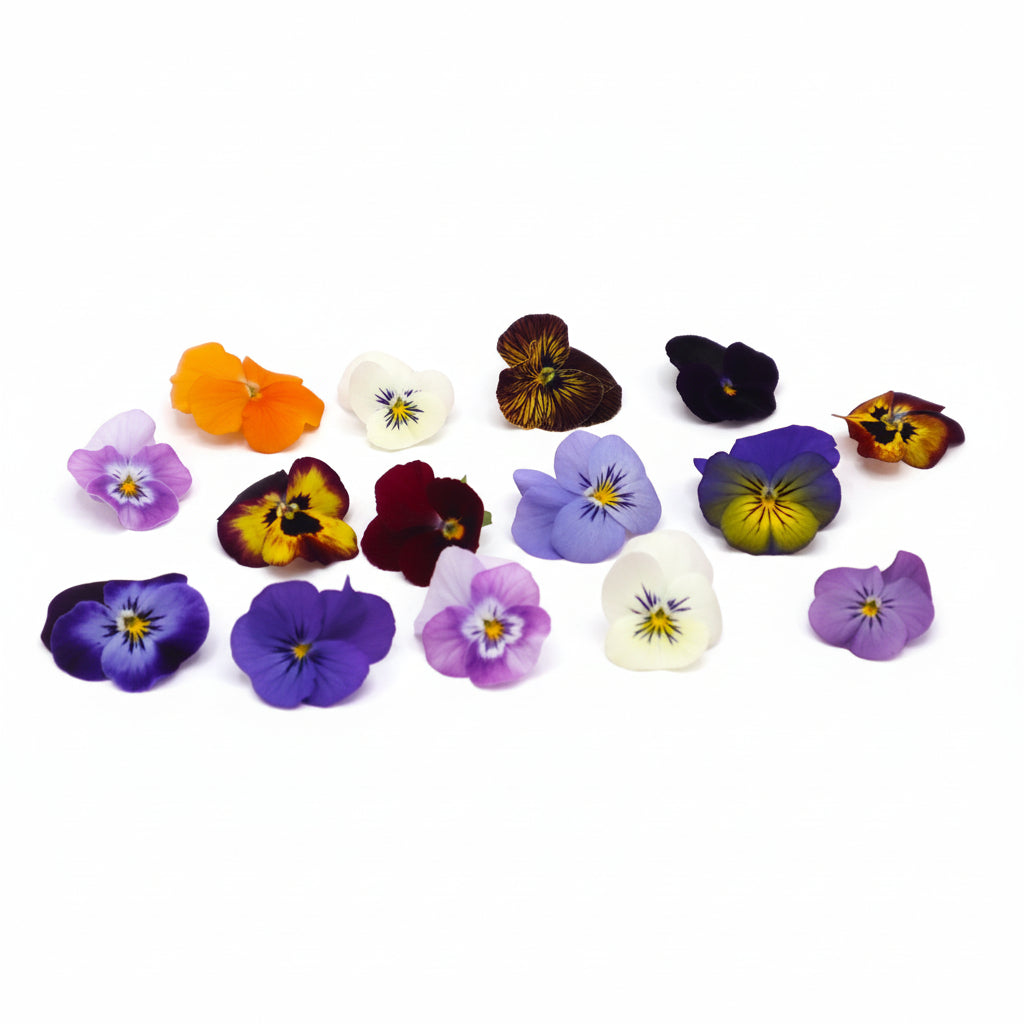 Viva Viola Mix, Eetbare viooltjes | Floral Delight