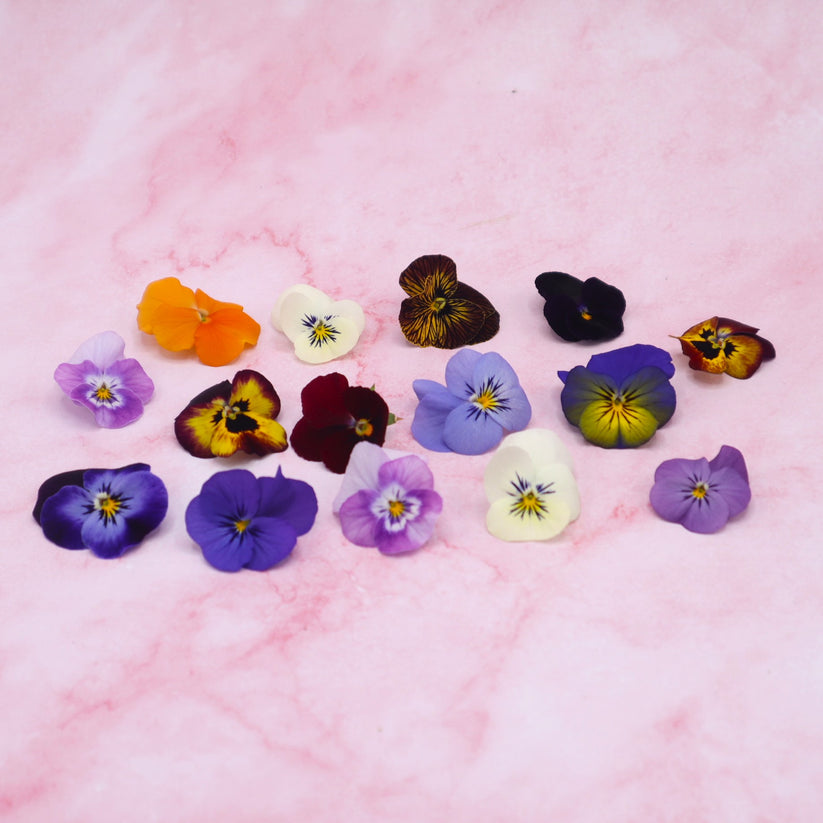 Viva Viola Mix, Eetbare viooltjes | Floral Delight